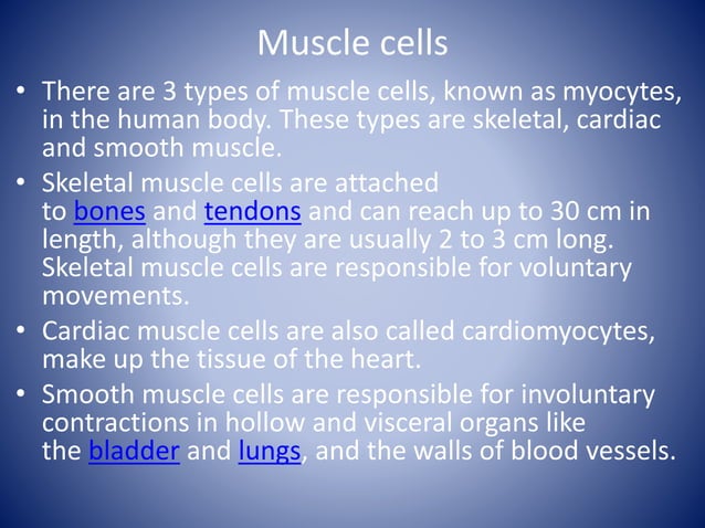 HUMAN CELL TYPES.pptx