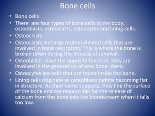 HUMAN CELL TYPES.pptx
