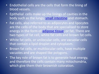 HUMAN CELL TYPES.pptx