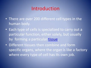 HUMAN CELL TYPES.pptx