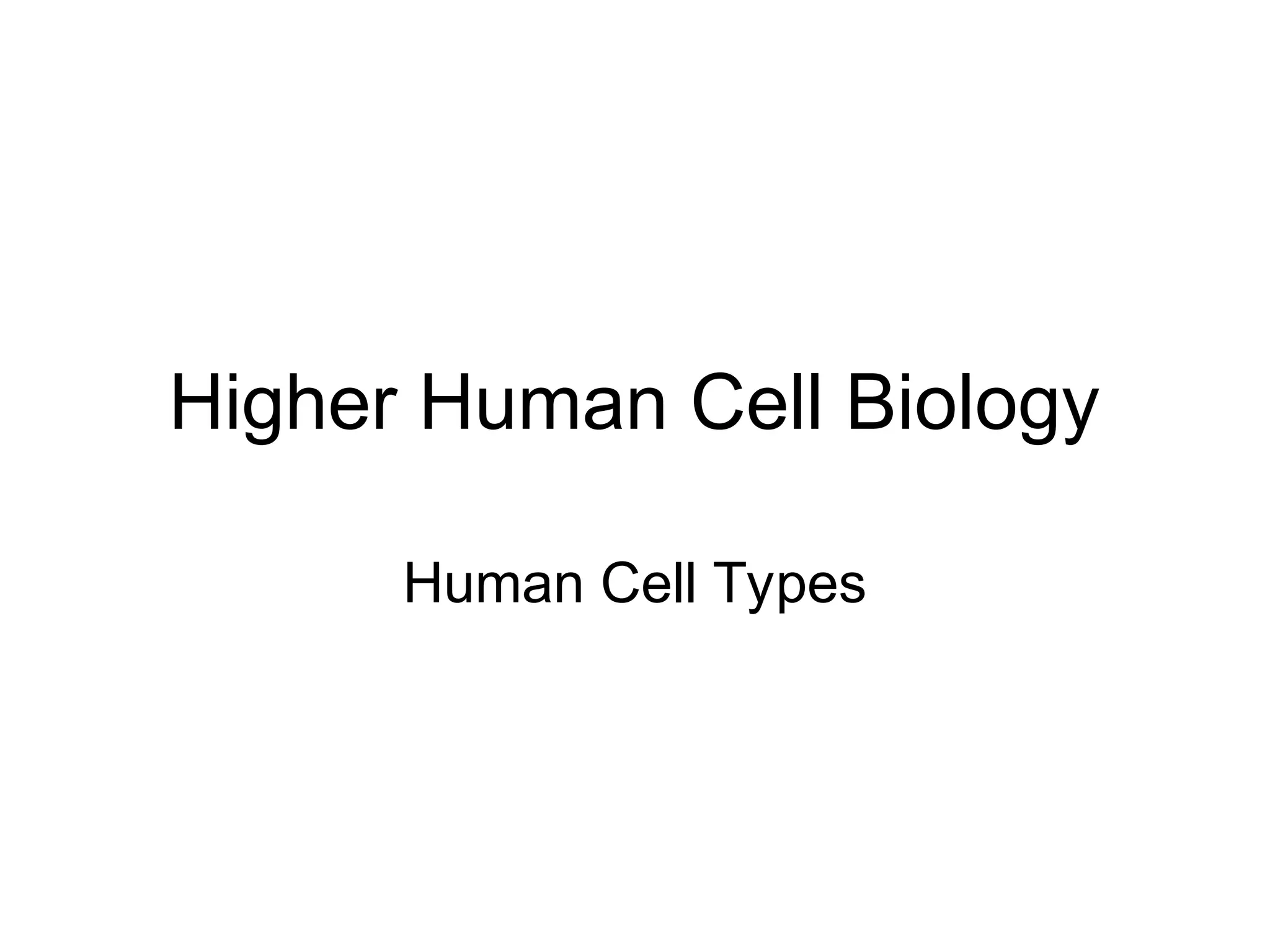 Human Cell Types Human Cell Types Human. | PPT