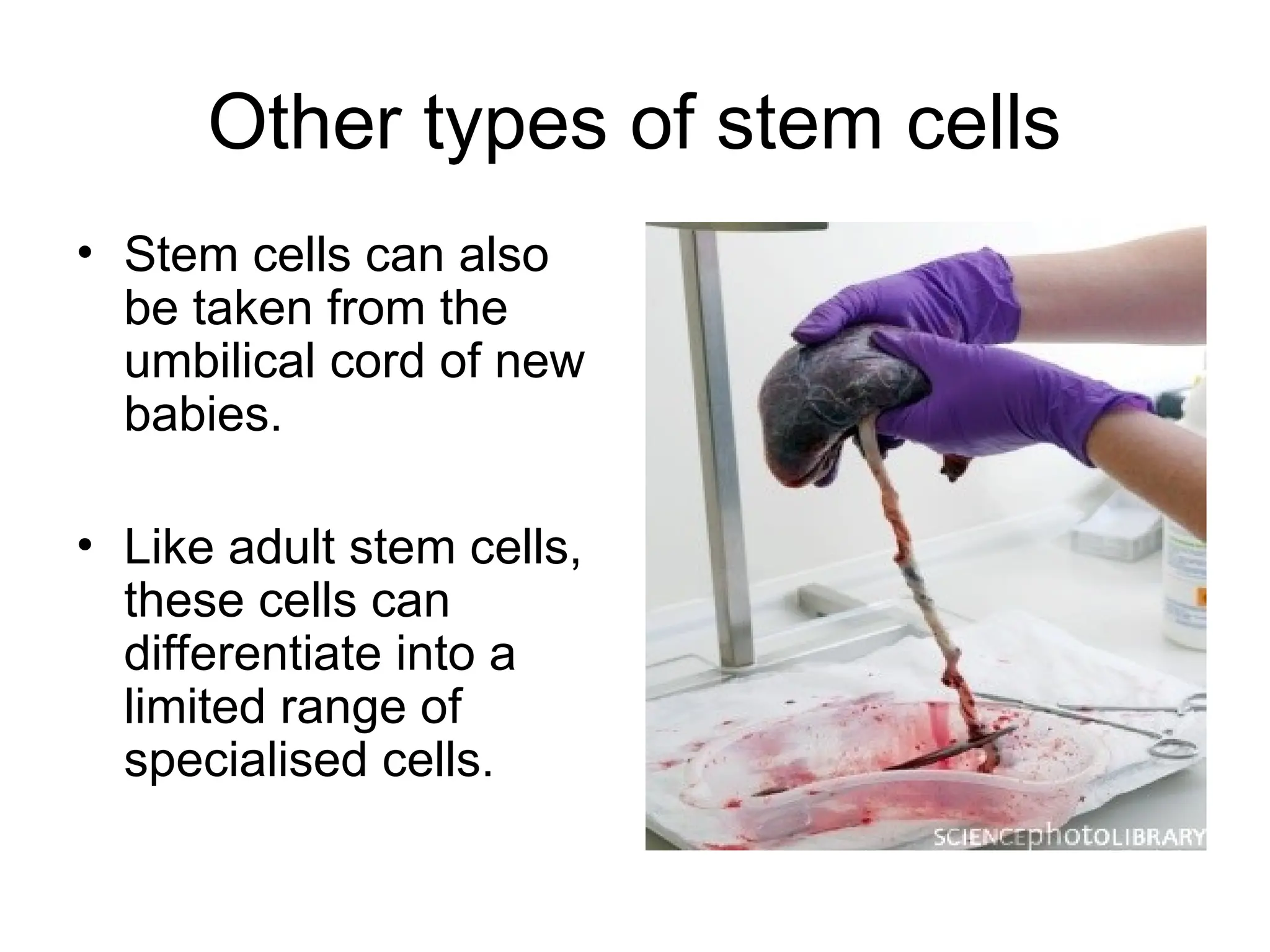 Human Cell Types Human Cell Types Human. | PPT