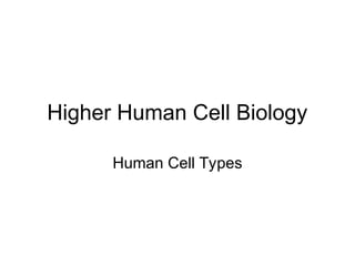 Human Cell Types Human Cell Types Human. | PPT