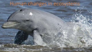 Human changes in ecosystems power point | PPTX