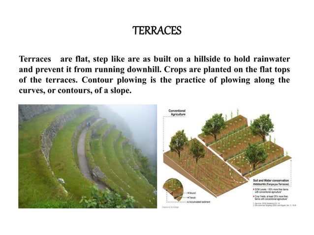 Human changes soil structure.pptx
