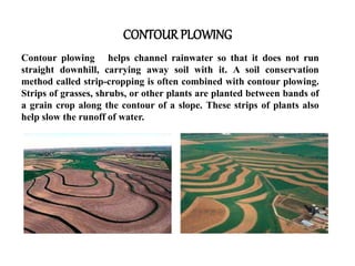Human changes soil structure.pptx