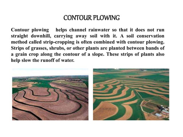 Human changes soil structure.pptx
