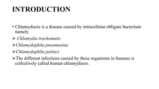 Human Chlamydiasis infection PPT Presentation.pptx
