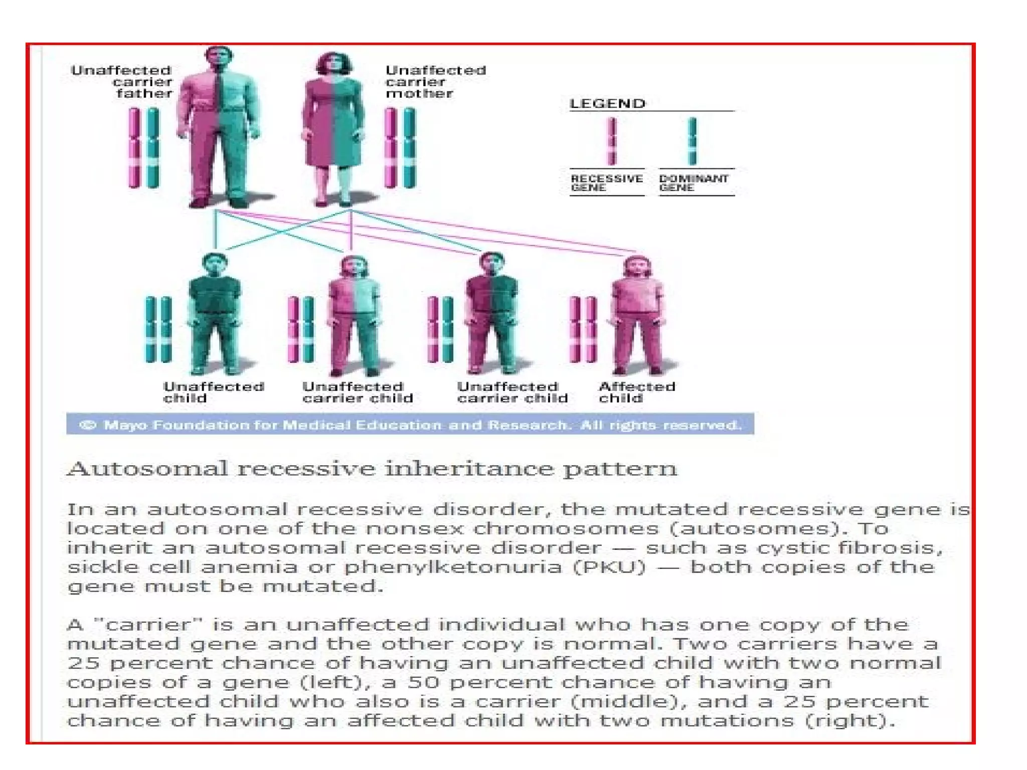 Human chromosomal structural errors | PPT