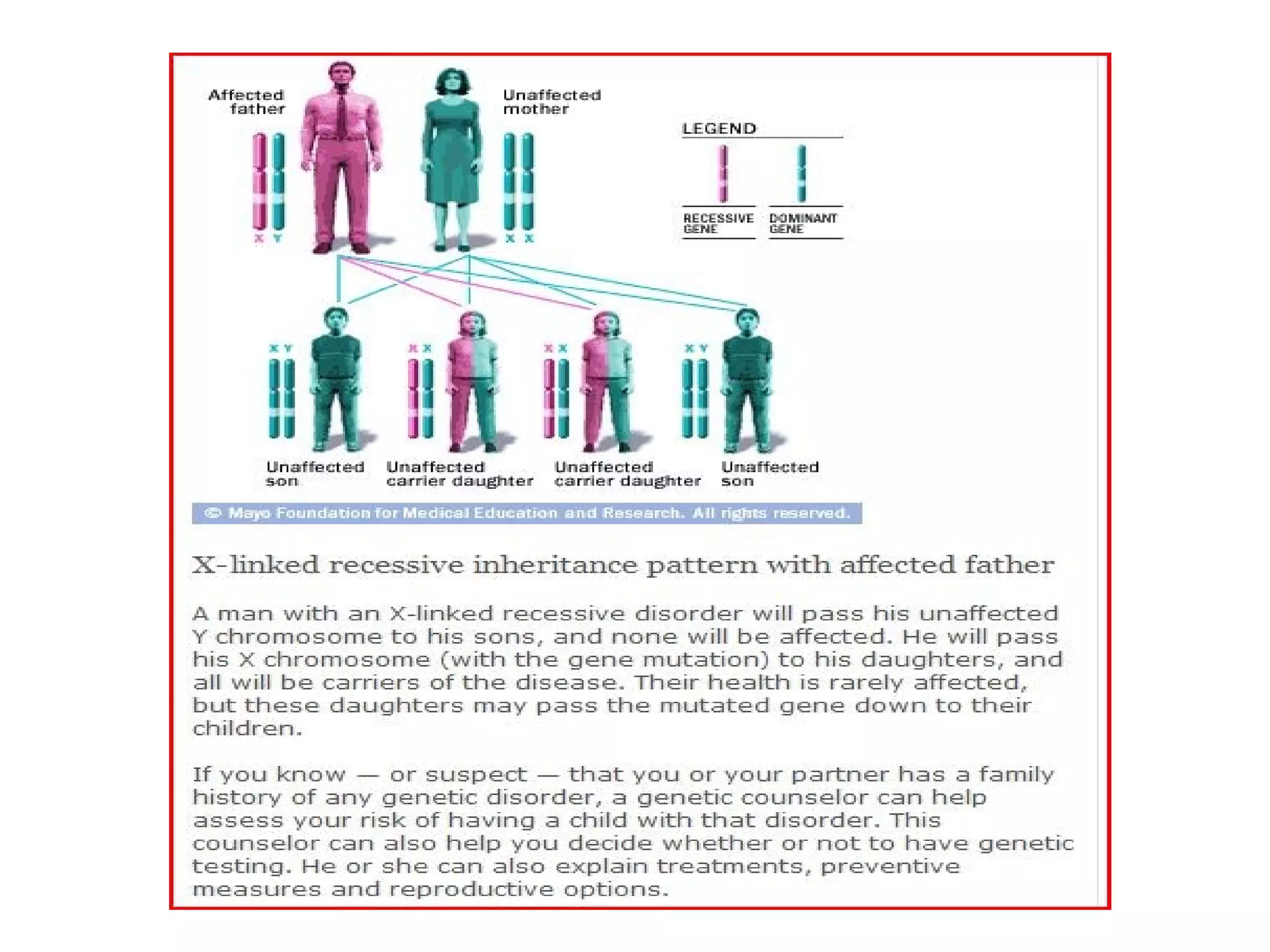Human chromosomal structural errors | PPT