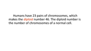 Human Chromosomes ,Genetics, genetics problems.pptx