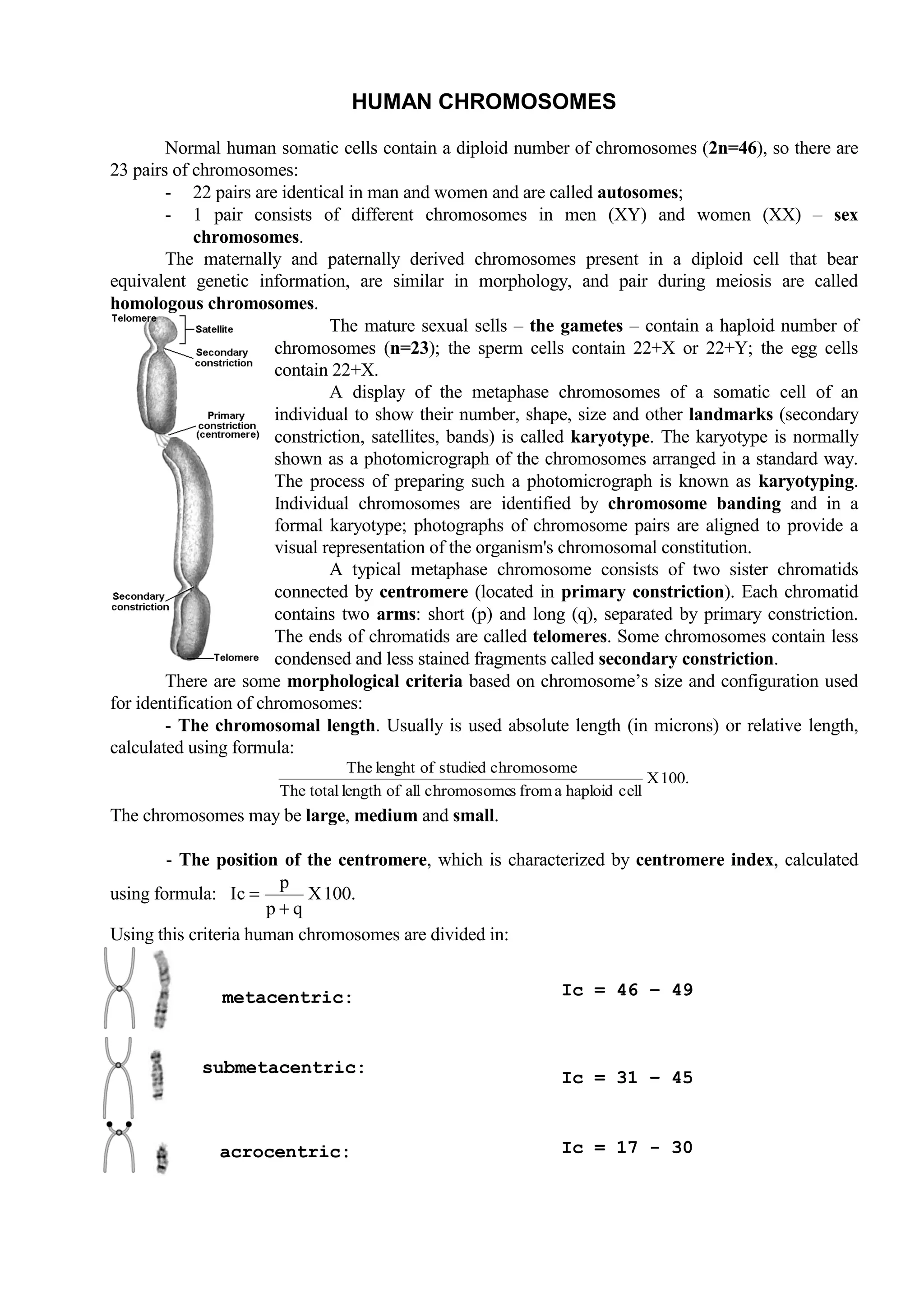 lets talk about Human chromosomes introduction.pdf