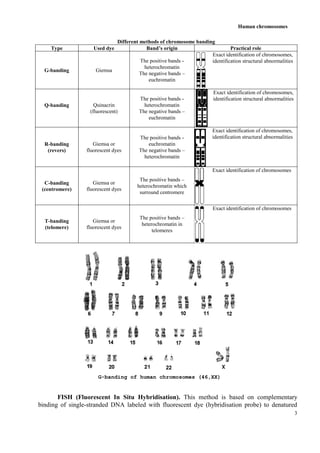lets talk about Human chromosomes introduction.pdf
