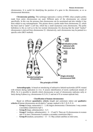 lets talk about Human chromosomes introduction.pdf