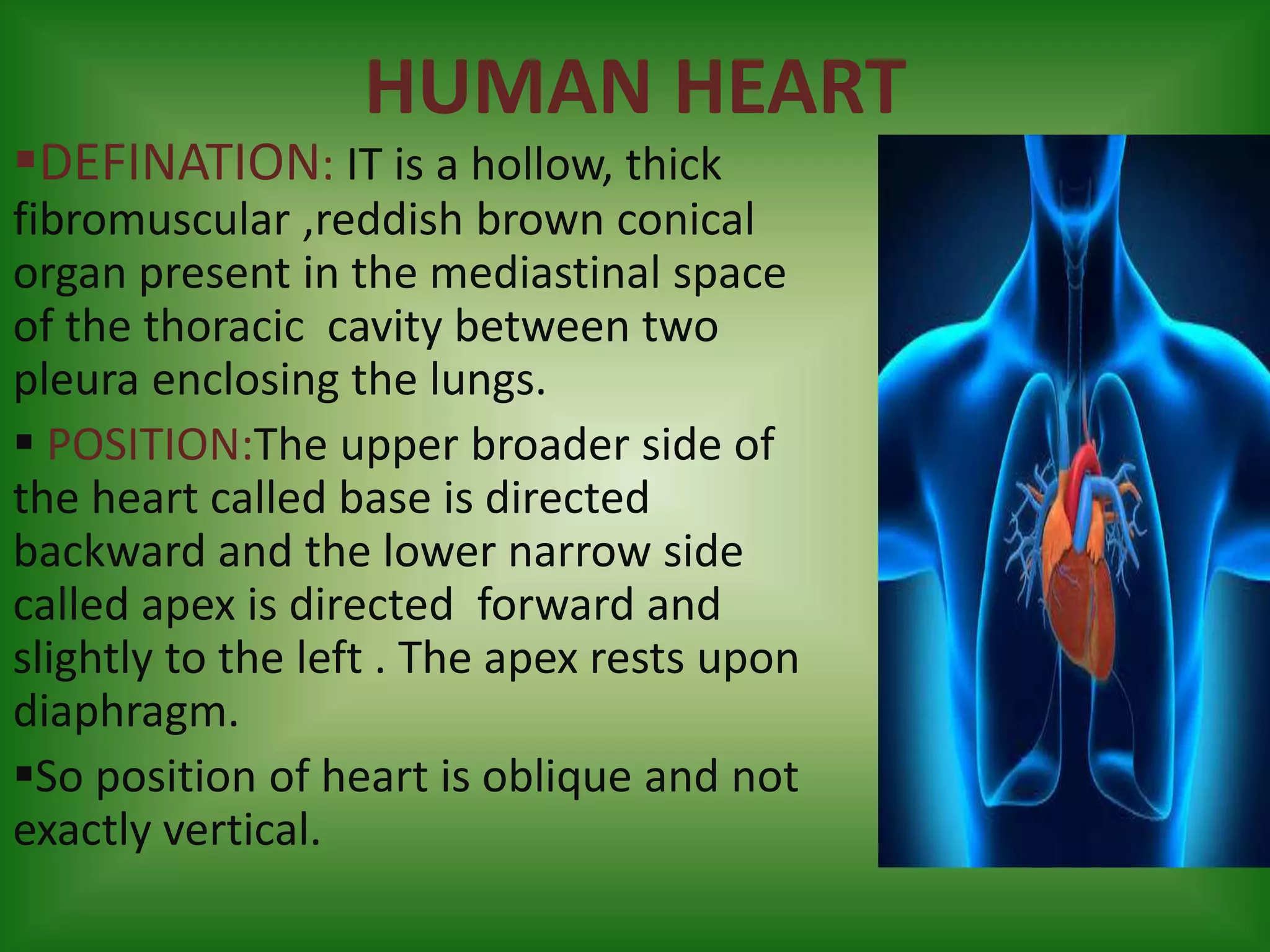 Human circulatory system | PPTX