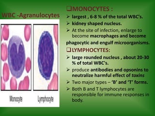 Human circulatory system | PPTX