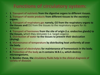 Human circulatory system | PPTX