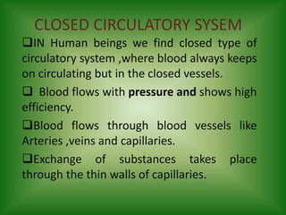 Human circulatory system | PPTX