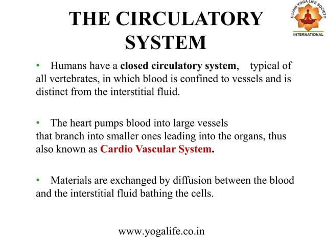 Human circulatory system | PPT