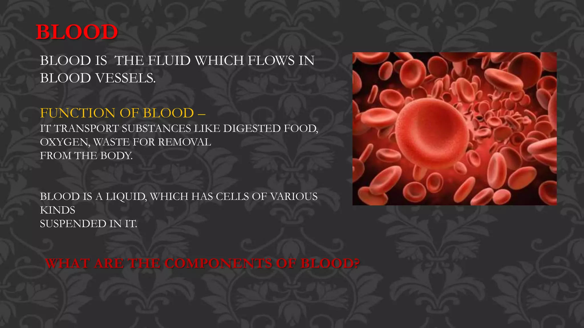 Human circulatory system | PPT