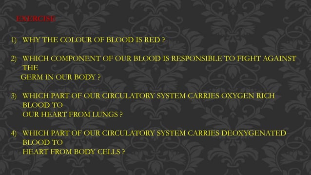 Human circulatory system | PPT