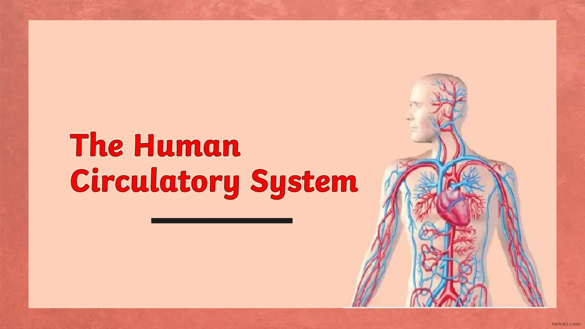 Human Circulatory System - Why is it important to Know | PPTX