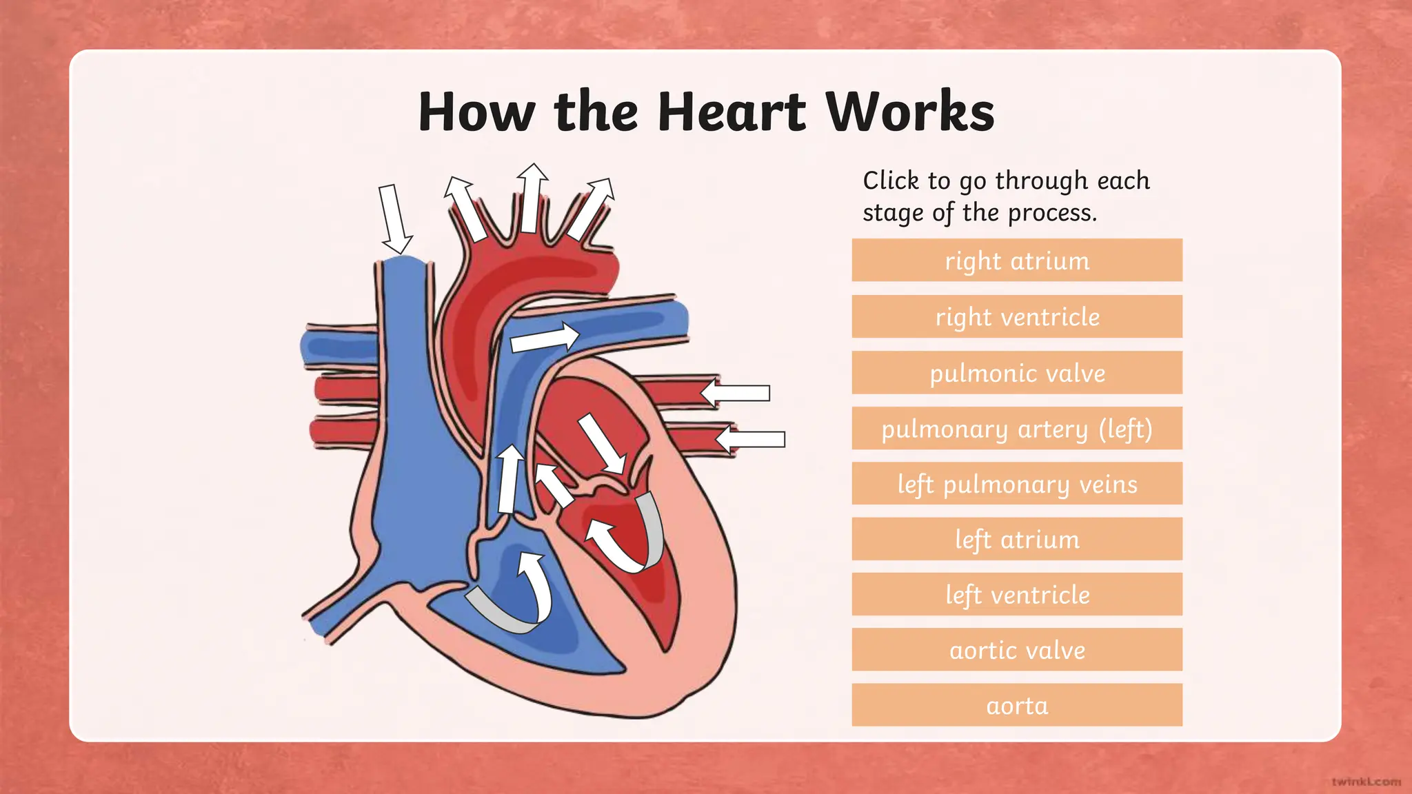Human Circulatory System - Why is it important to Know | PPTX