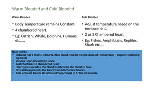 Brief explanation on HUMAN CIRCULATORY SYSTEM | PPT