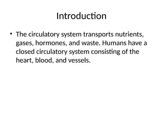 Human_Circulatory_System_Presentation.pptx