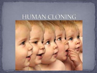 Human Cloning Gone Wrong