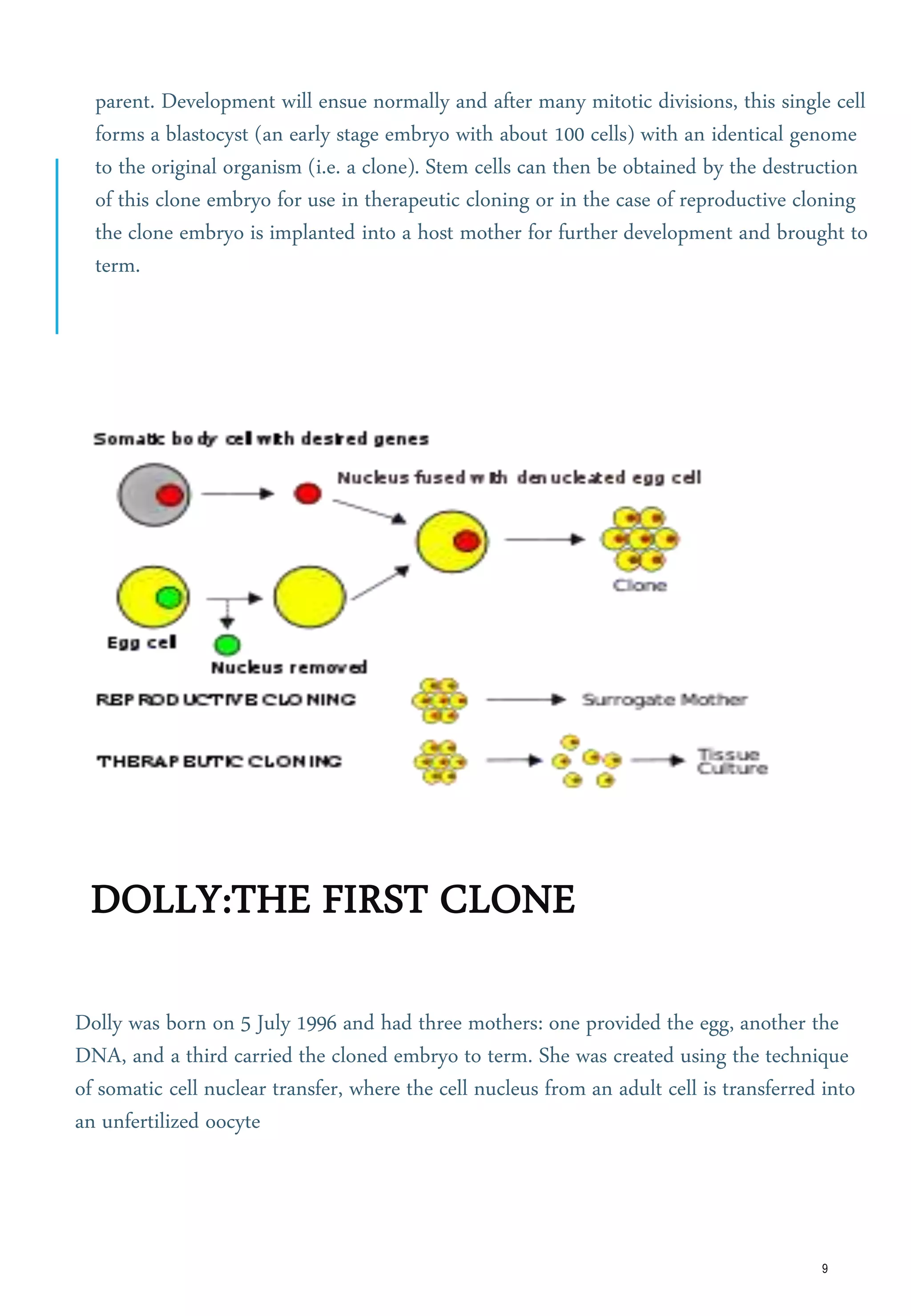 Investigatory Project Biology-Human Cloning- Firdaus Mazumdar-11th | PPTX