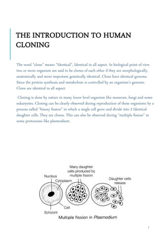 Investigatory Project Biology-Human Cloning- Firdaus Mazumdar-11th | PPTX
