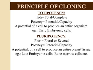 Human cloning critical thinking & problem solving skills | PPT