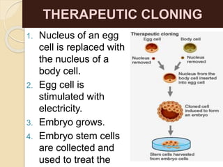 Human cloning critical thinking & problem solving skills | PPT
