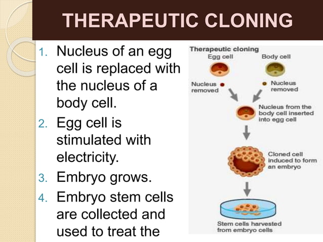 Human cloning critical thinking & problem solving skills | PPT