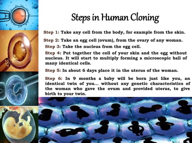 Human cloning critical thinking & problem solving skills | PPT