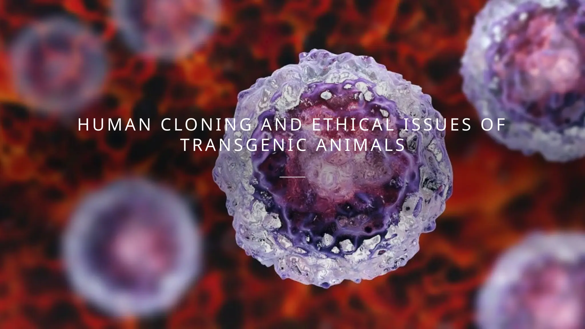 Human Cloning and Ethical issues of Transgenic Animals.pptx