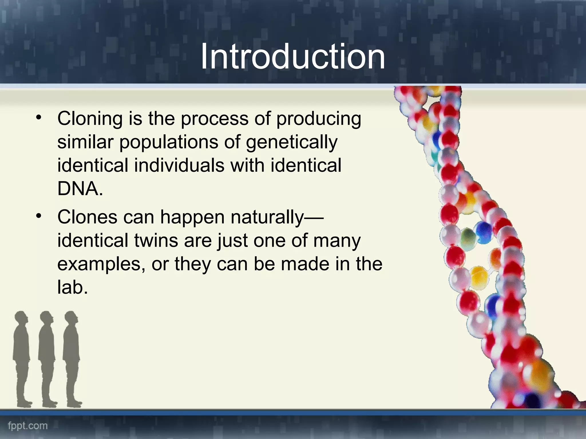 Human cloning | PPT