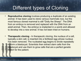 Against Human Cloning