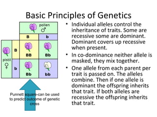 Genetics Research | PPT | Genetics | Science