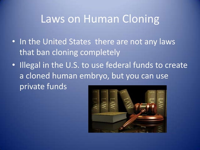 Human cloning powerpoint on flash 2 | PPTX