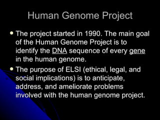 Human cloning project | PPT | Genetics | Science