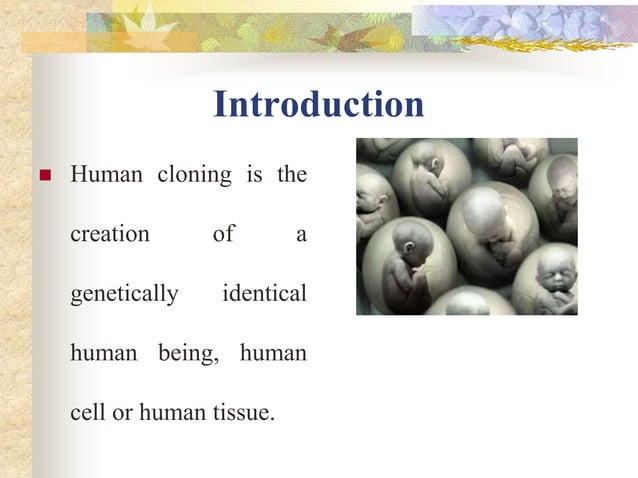 Human clonning.... | PPT