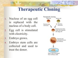 Human clonning.... | PPT