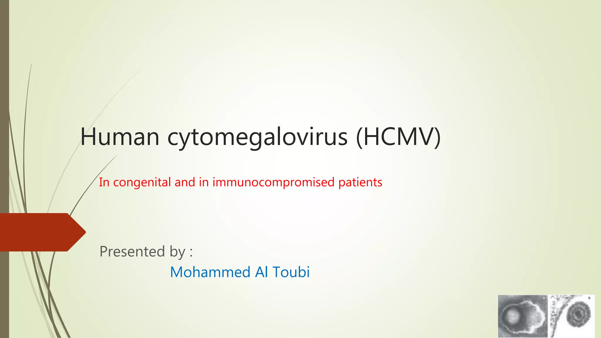 Human cmv in immuncompromised and congential patients 2019 | PPTX