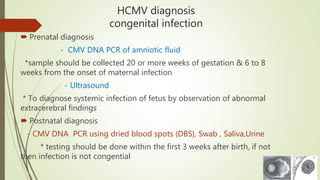 Human cmv in immuncompromised and congential patients 2019 | PPTX