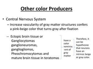 Human colors. color of normal and pathologic tissue | PPTX