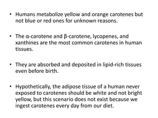 Human colors. color of normal and pathologic tissue | PPTX