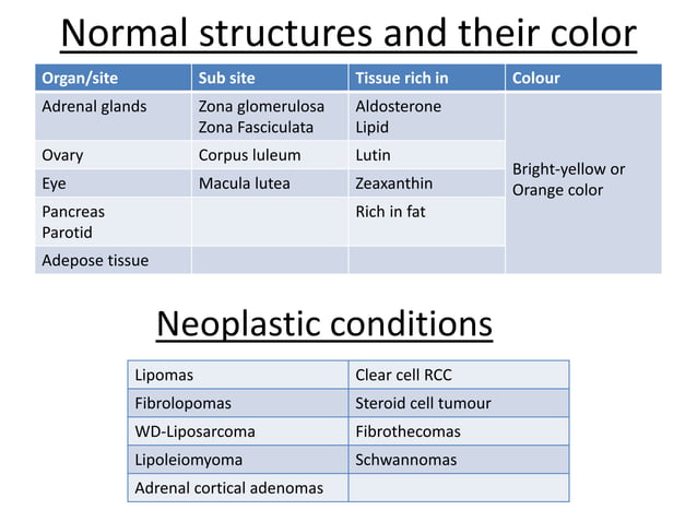 Human colors. color of normal and pathologic tissue | PPTX | Blood ...