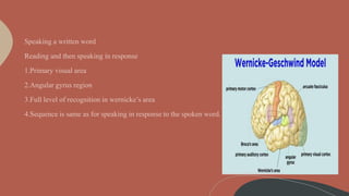 HUMAN COMMUNICATION _ | PPTX